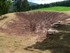 The Life of a Pond | Rooting for Ideas