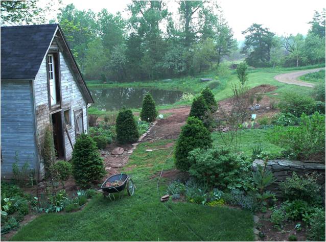 The Pond Walk- before and after shots | Rooting for Ideas