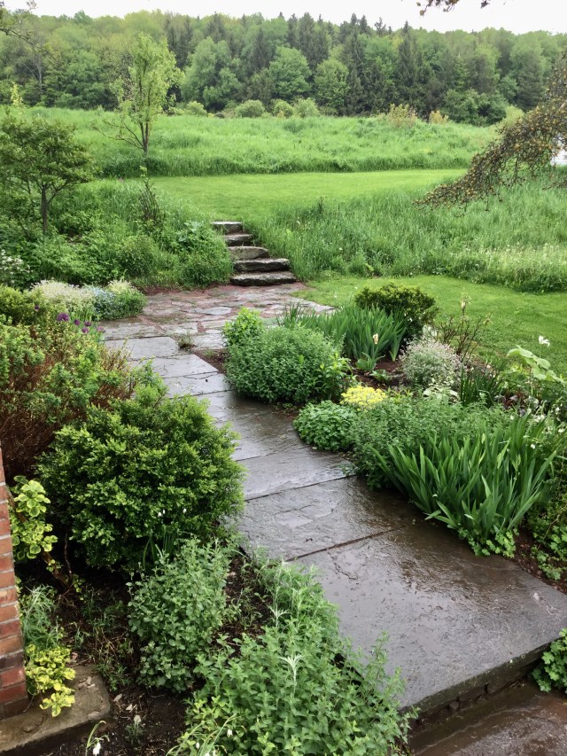 Fieldstone Path Planted with Woolly Thyme | Rooting for Ideas