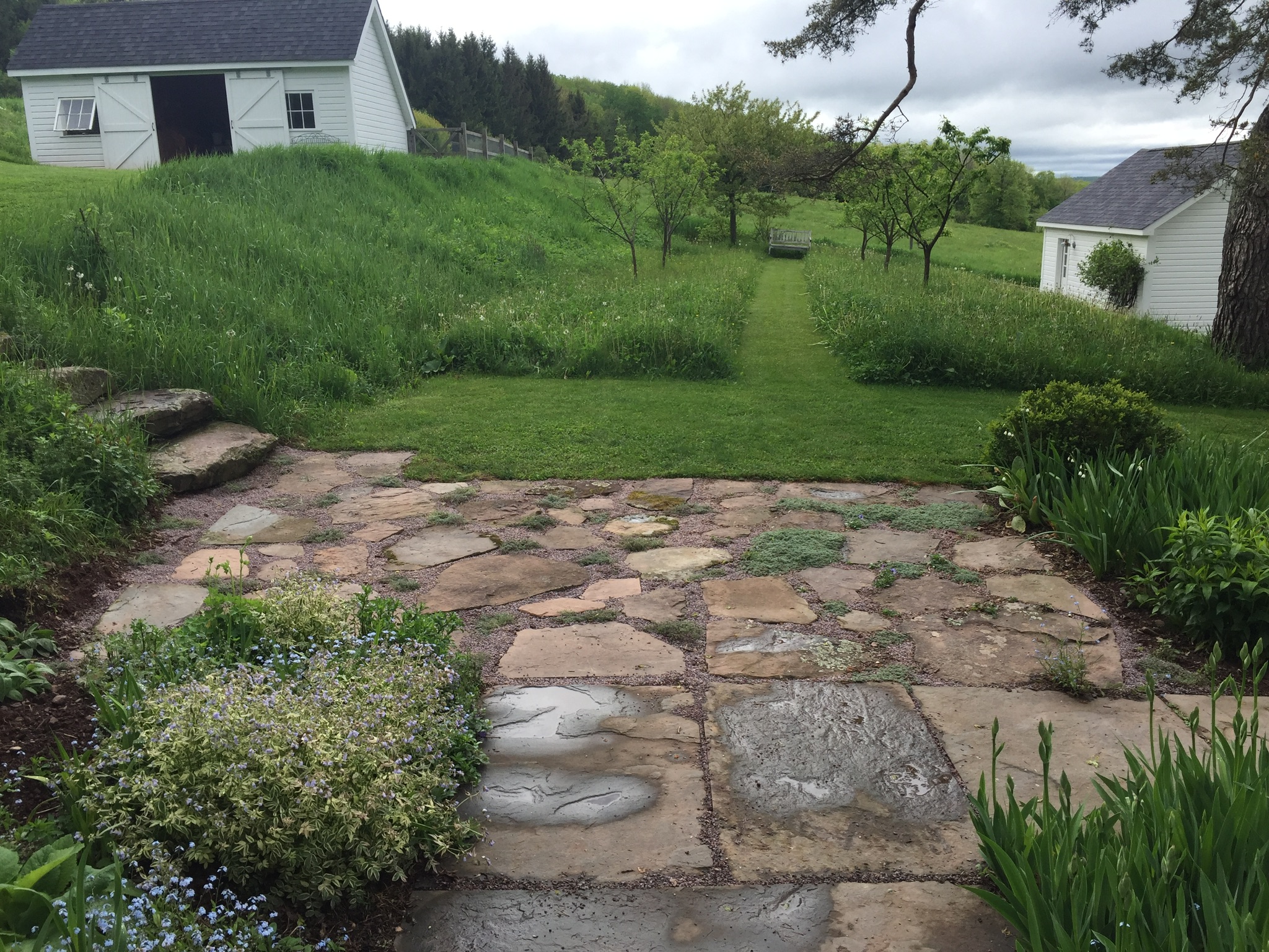 Fieldstone Path Planted with Woolly Thyme | Rooting for Ideas